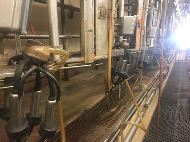Used CIP Trays - Dairy Train Classifieds